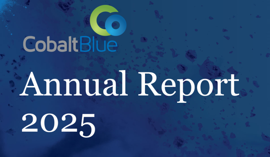 COB 2025 Annual Report - Cobalt Blue